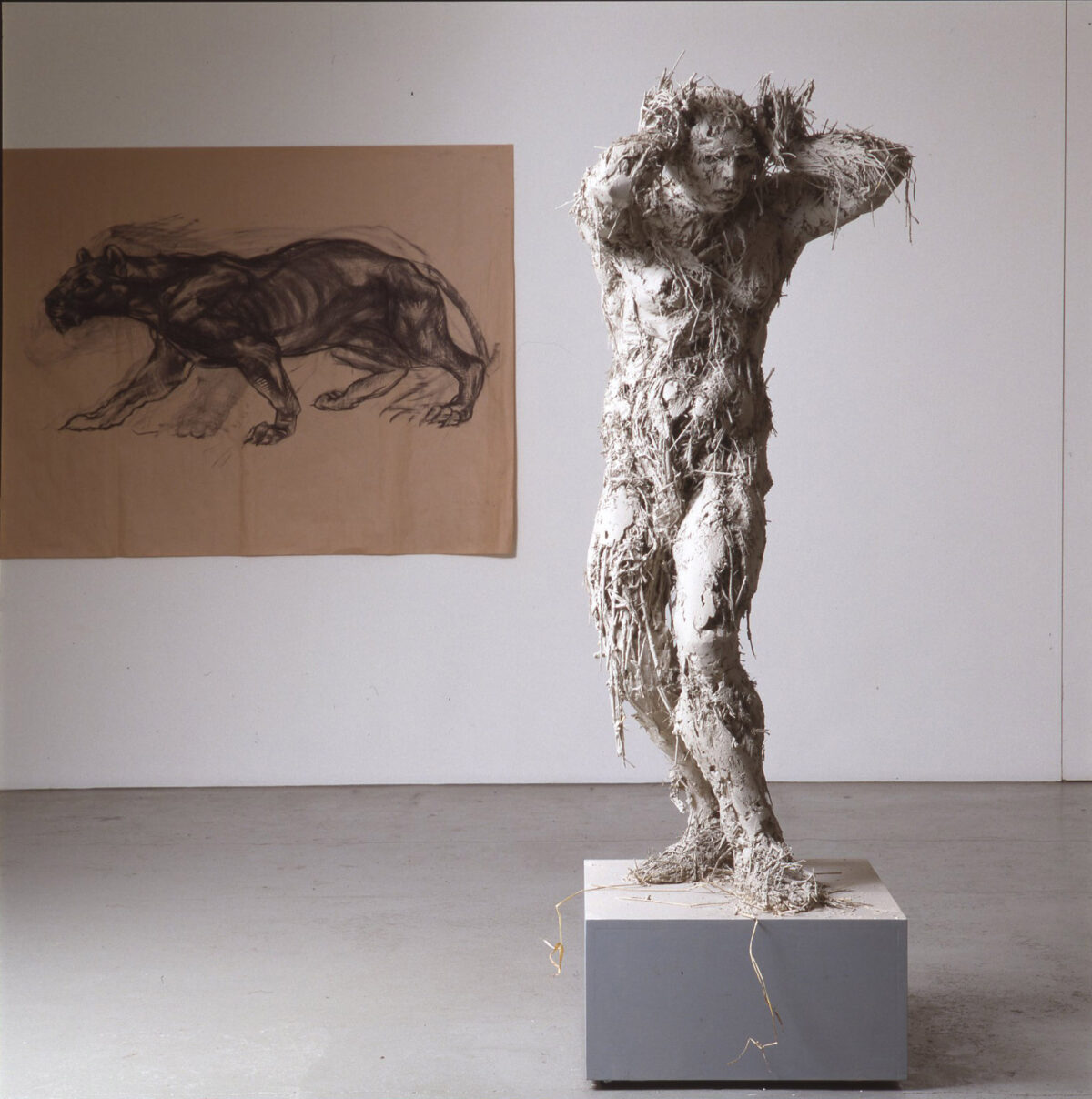 Nicola Hicks – adrianflowersarchive.com