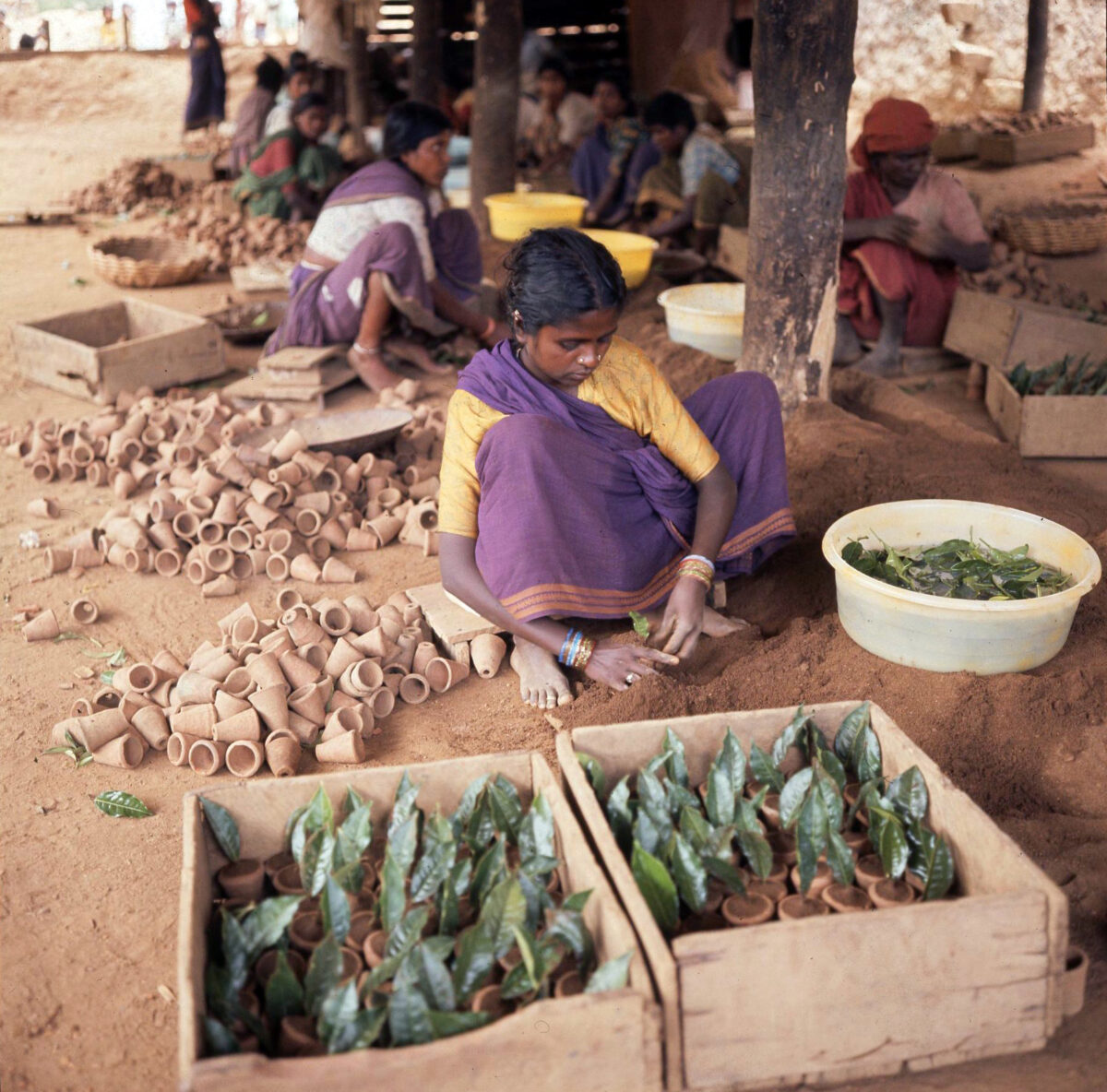 adrianflowersarchive.com – Adrian Flowers Archive of Photography