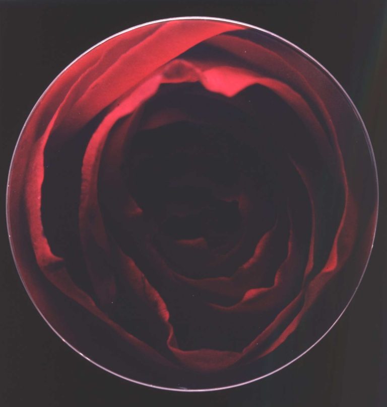 adrianflowersarchive.com